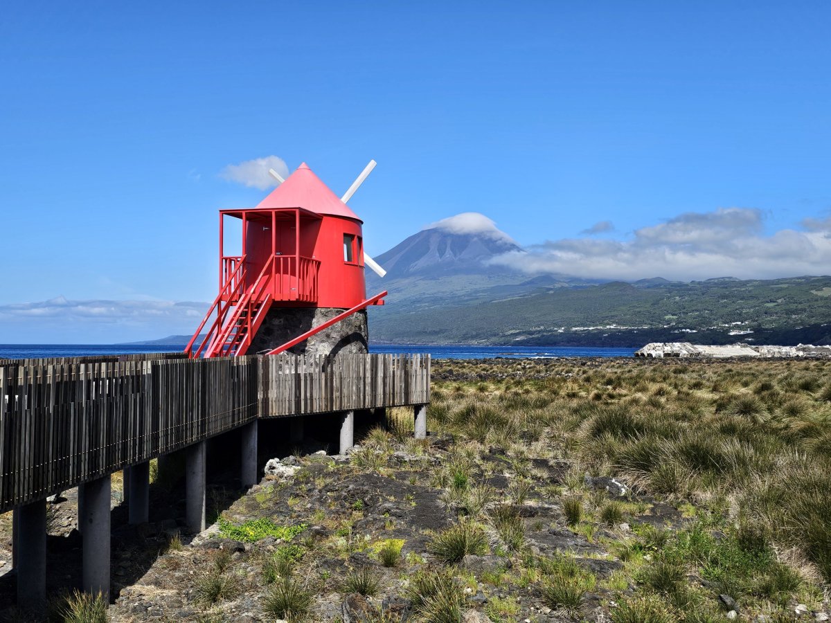 Pico i 16 miejsc, co warto zobaczyć i zwiedzić (+ Mapa)