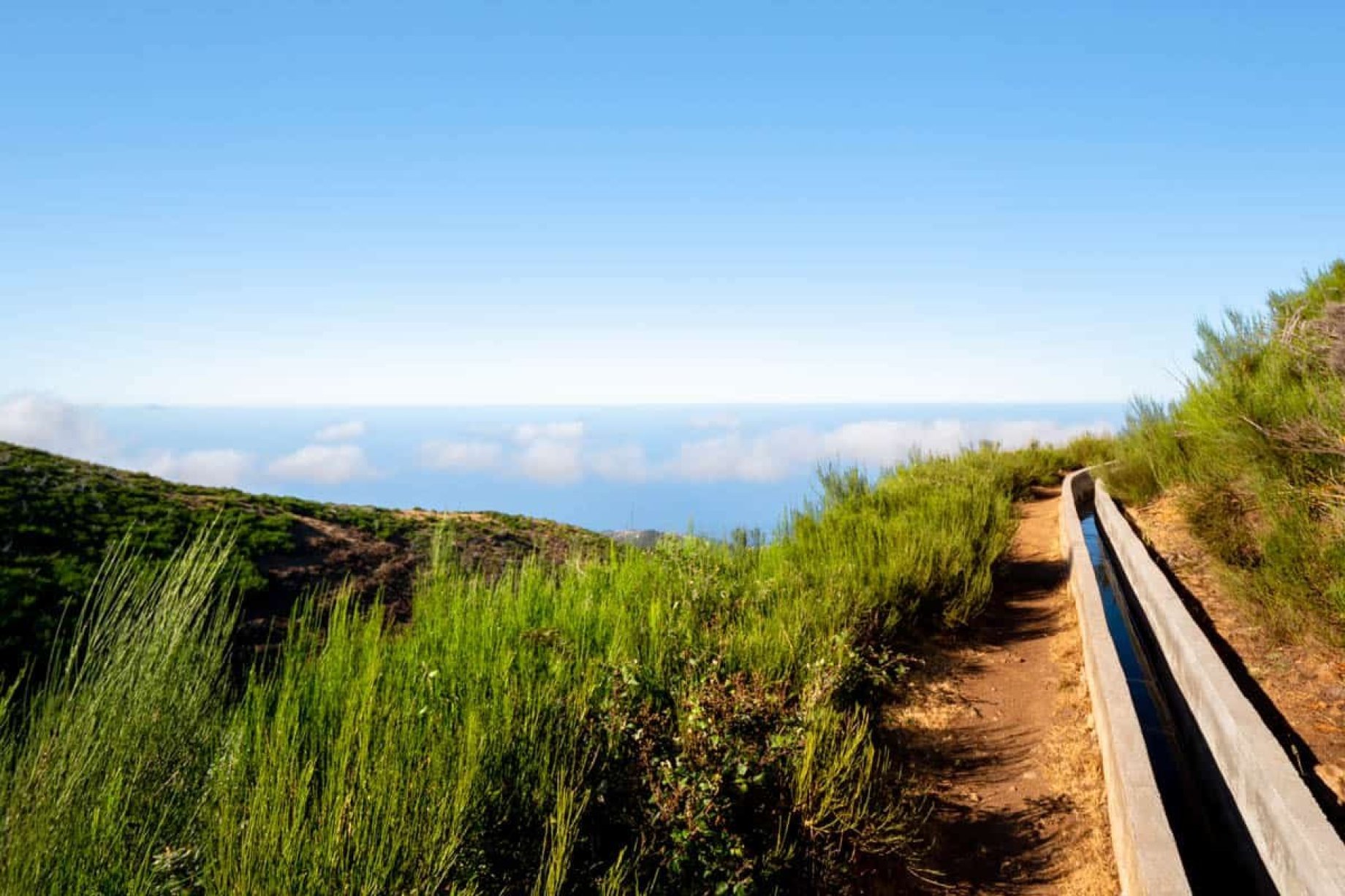 Madera - Najlepsze lewady (trasy i mapy)